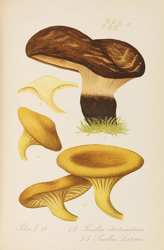 Ketterer Kunst, Kunstauktionen, Buchauktionen München, Hamburg & Berlin